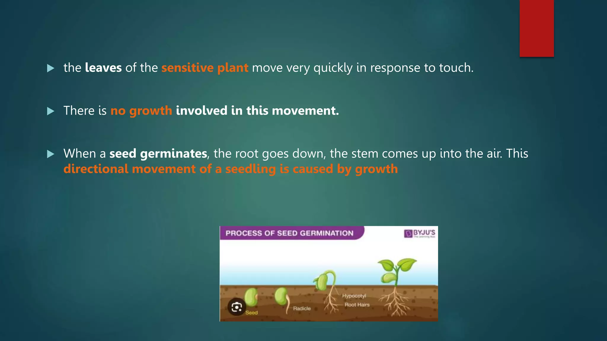 Plant Control And Coordination.pptx