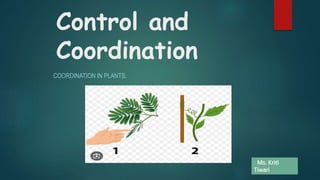 Plant Control And Coordination.pptx