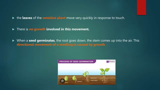 Plant Control And Coordination.pptx