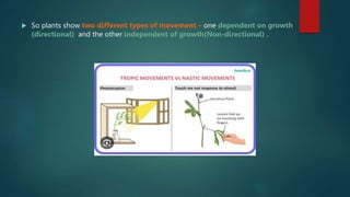 Plant Control And Coordination.pptx