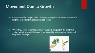 Plant Control And Coordination.pptx
