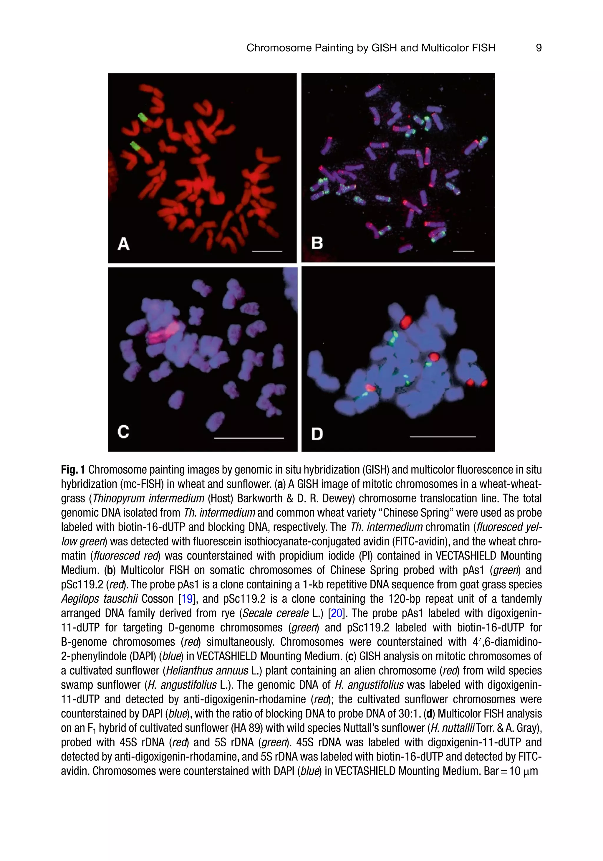 Plant_Cytogenetics_Methods_and_Protocols_Humana_Press,_2016.pdf ...