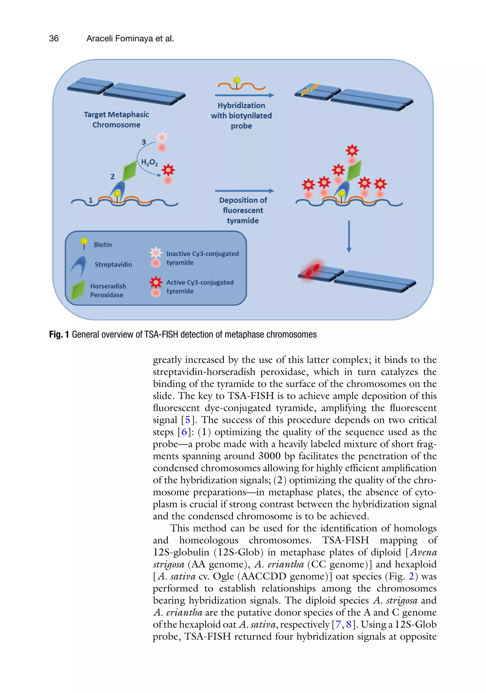 Plant_Cytogenetics_Methods_and_Protocols_Humana_Press,_2016.pdf ...