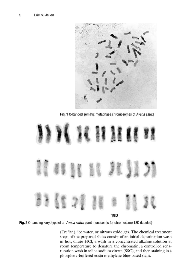Plant_Cytogenetics_Methods_and_Protocols_Humana_Press,_2016.pdf ...