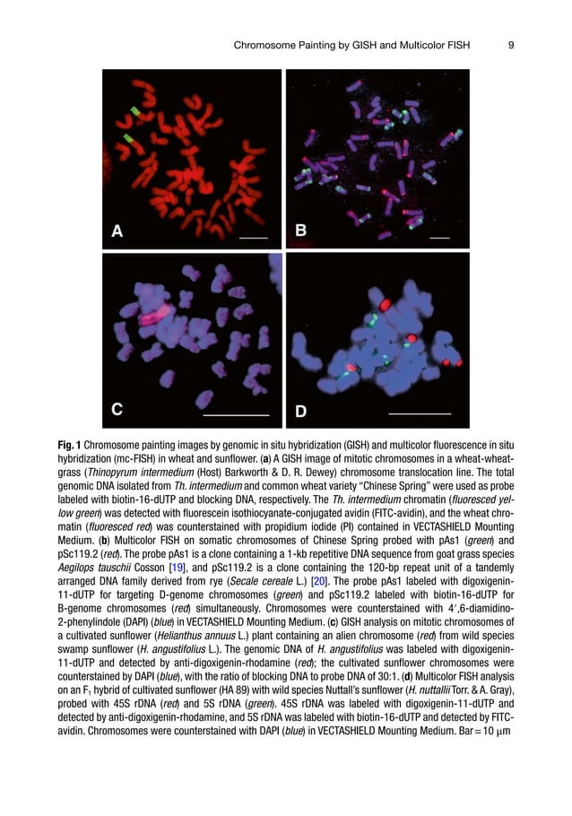 Plant_Cytogenetics_Methods_and_Protocols_Humana_Press,_2016.pdf ...