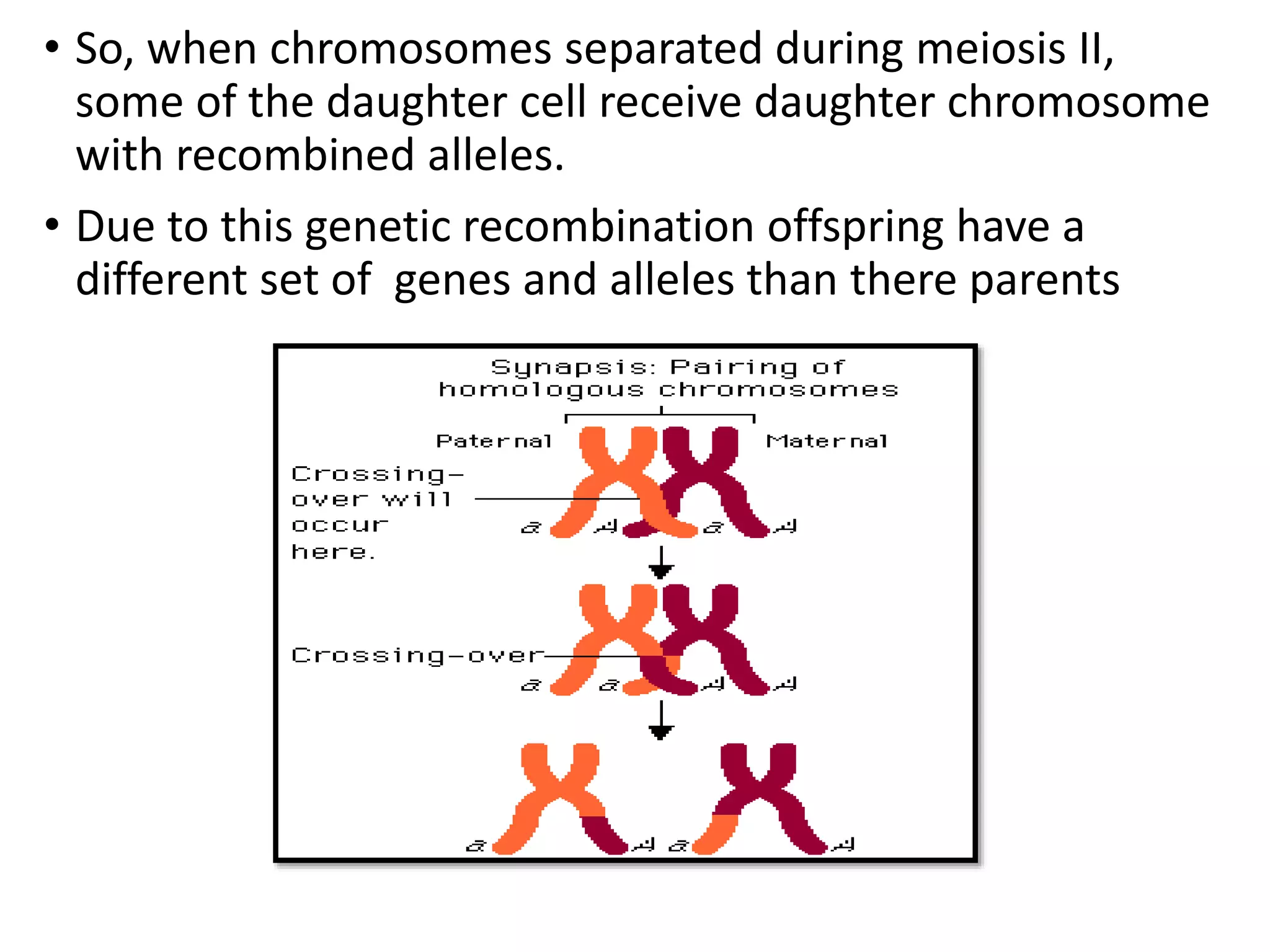 Meiosis, Crossing Over | PPTX