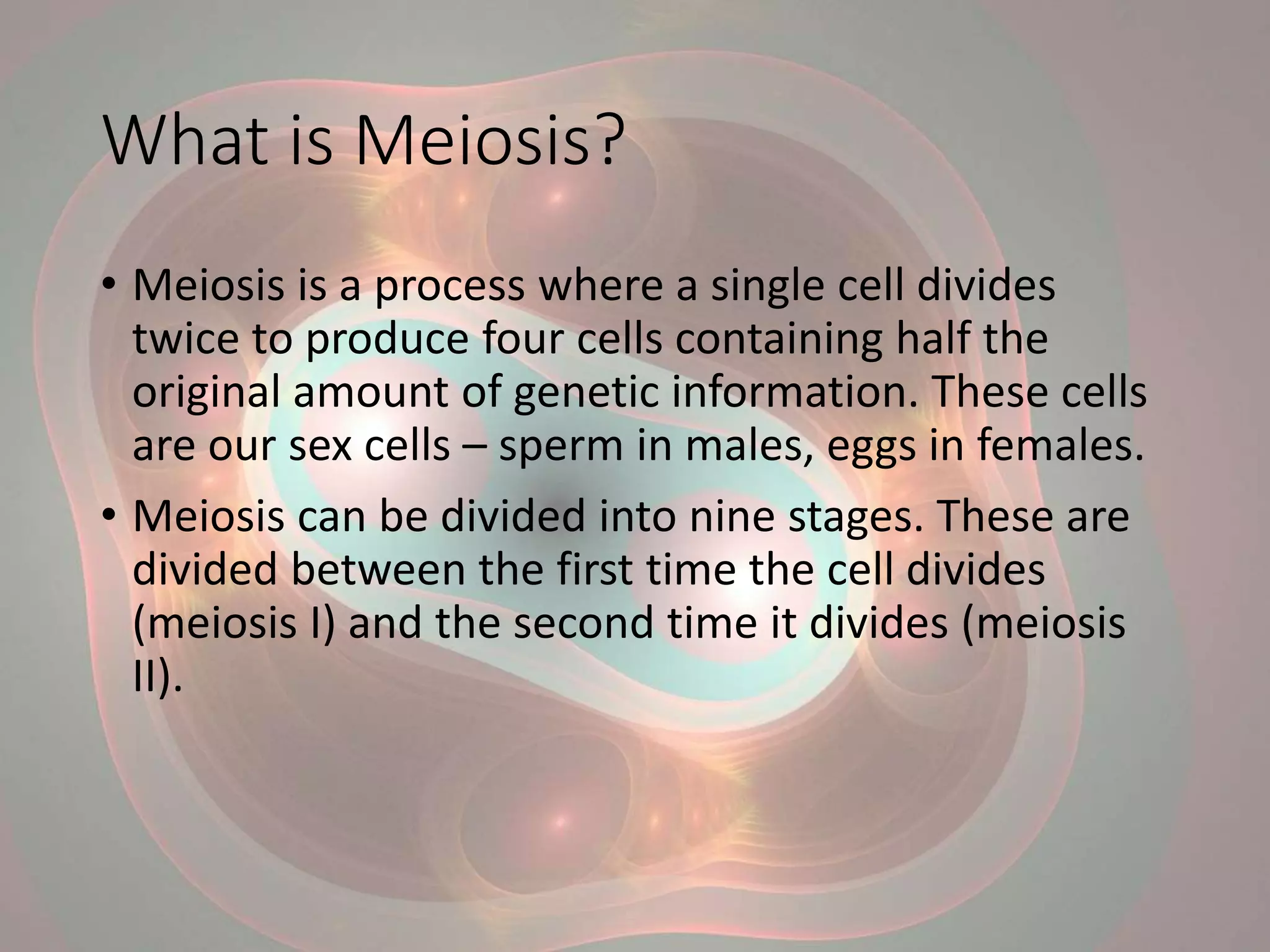 Meiosis, Crossing Over | PPTX