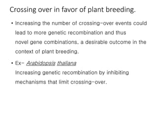 Meiosis, Crossing Over | PPTX