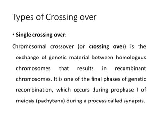 Meiosis, Crossing Over | PPTX