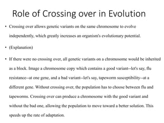 Meiosis, Crossing Over | PPTX