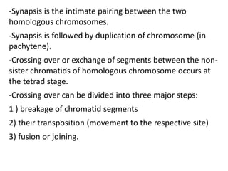 Meiosis, Crossing Over | PPTX