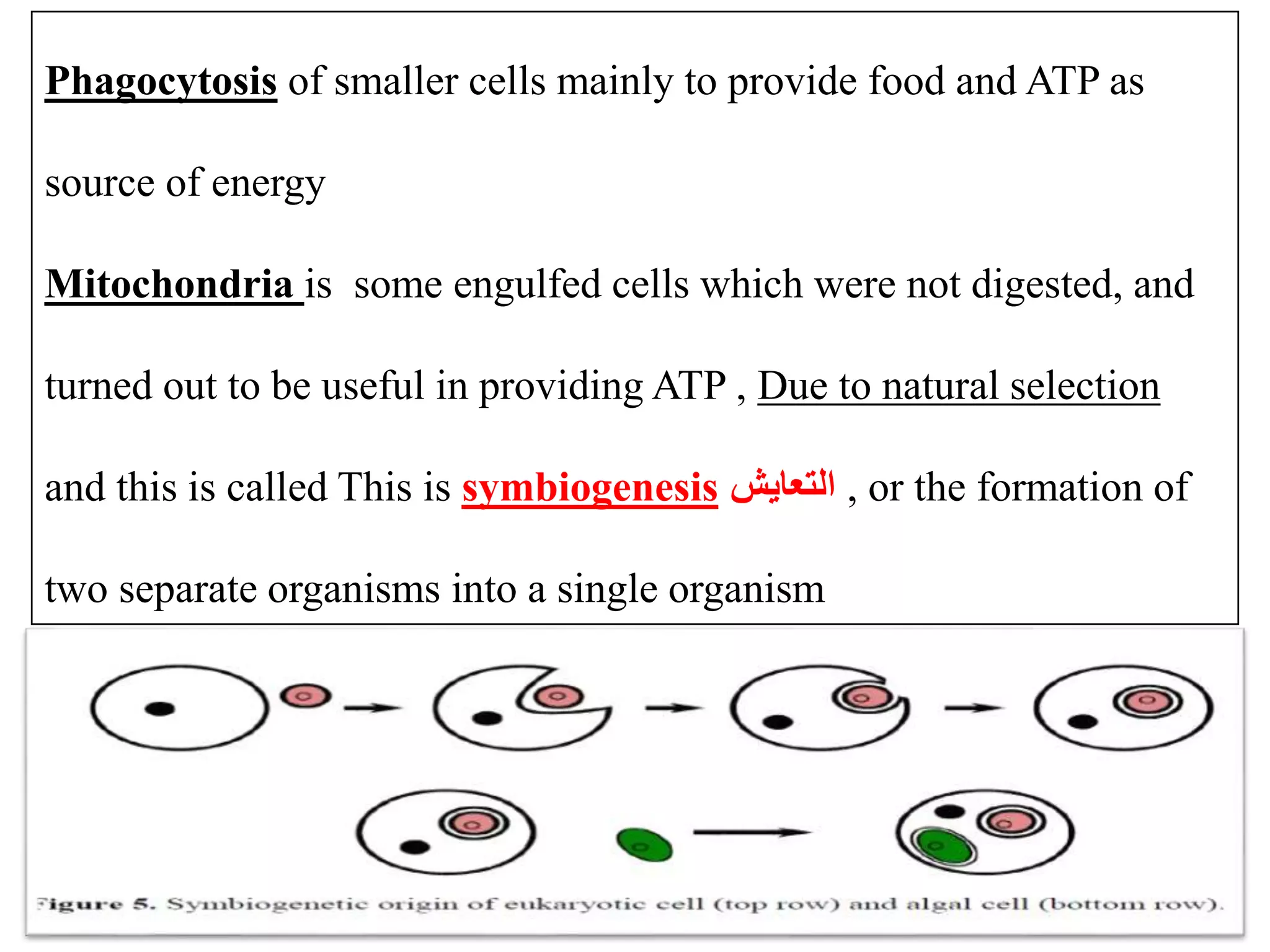 Plant cytology and physiology | PPTX
