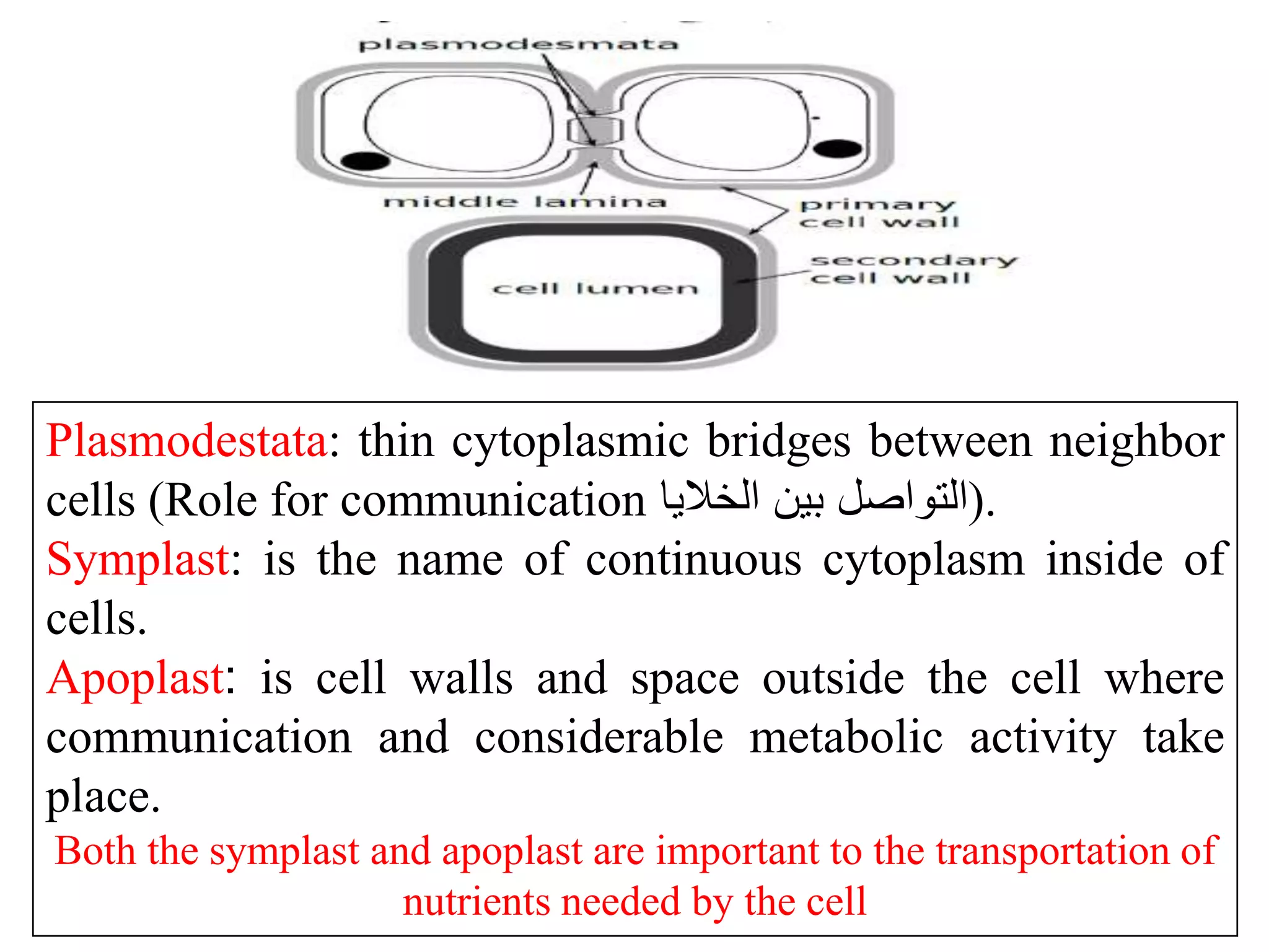 Plant cytology and physiology | PPTX