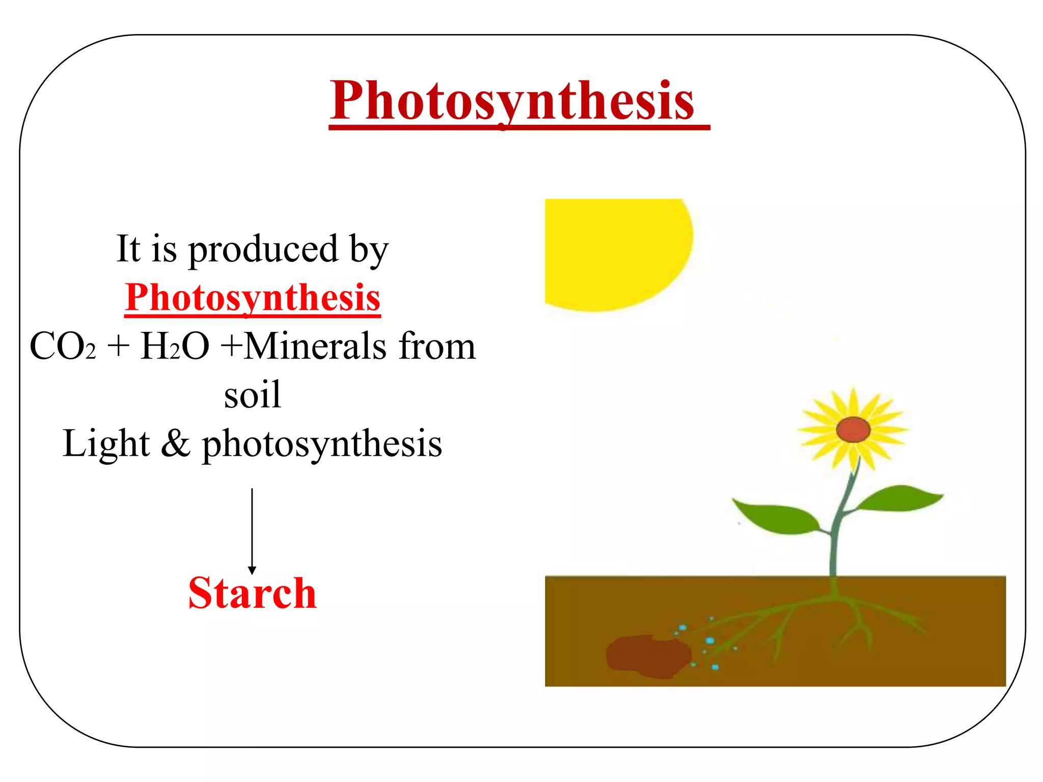 Plant cytology and physiology | PPTX