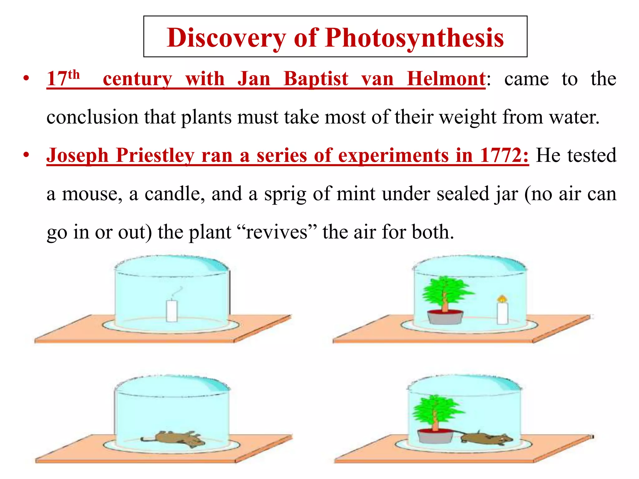Plant cytology and physiology | PPTX