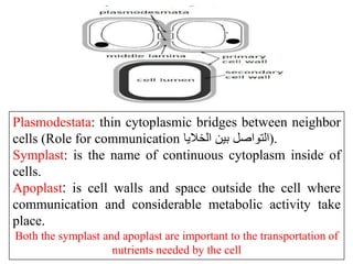 Plant cytology and physiology | PPTX