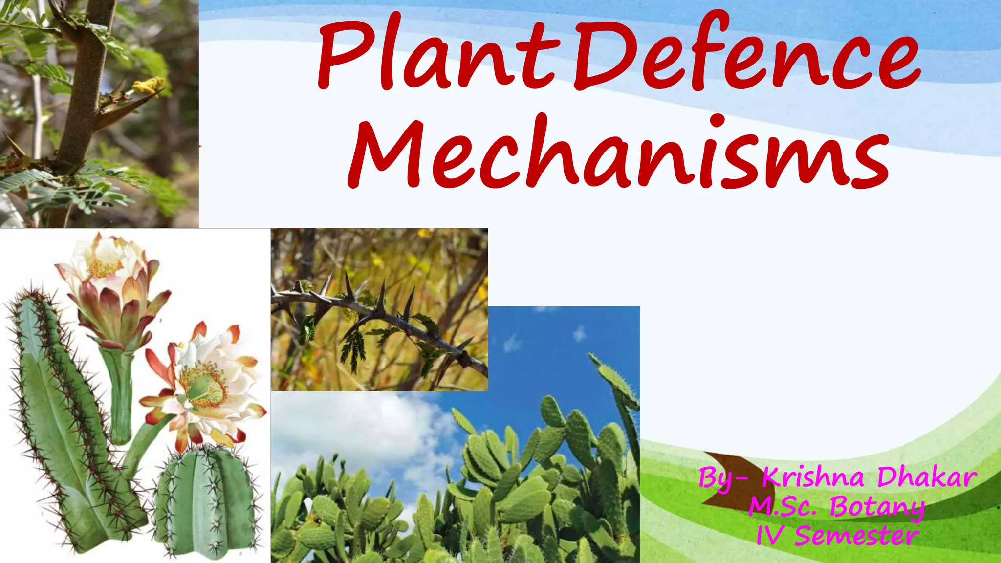 Plant Defence Mechanisms.pptx