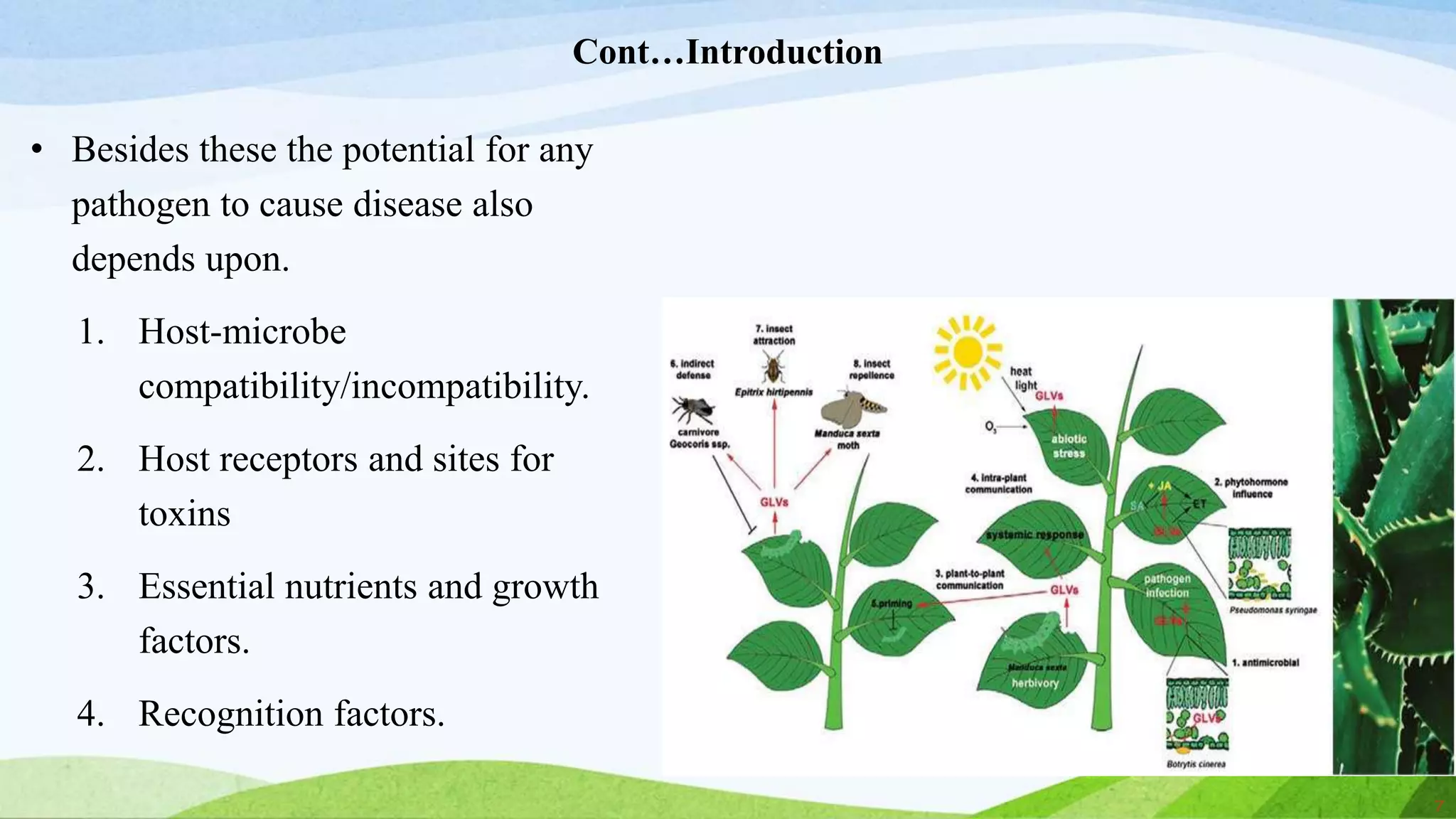 Plant Defence Mechanisms.pptx
