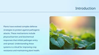 Plant Defense mechanism against plant pathogens | PPTX