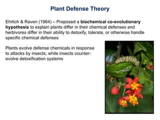 Plant Defense Theories Entomology Presentation.pptx