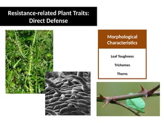 Plant Defense Theories Entomology Presentation.pptx