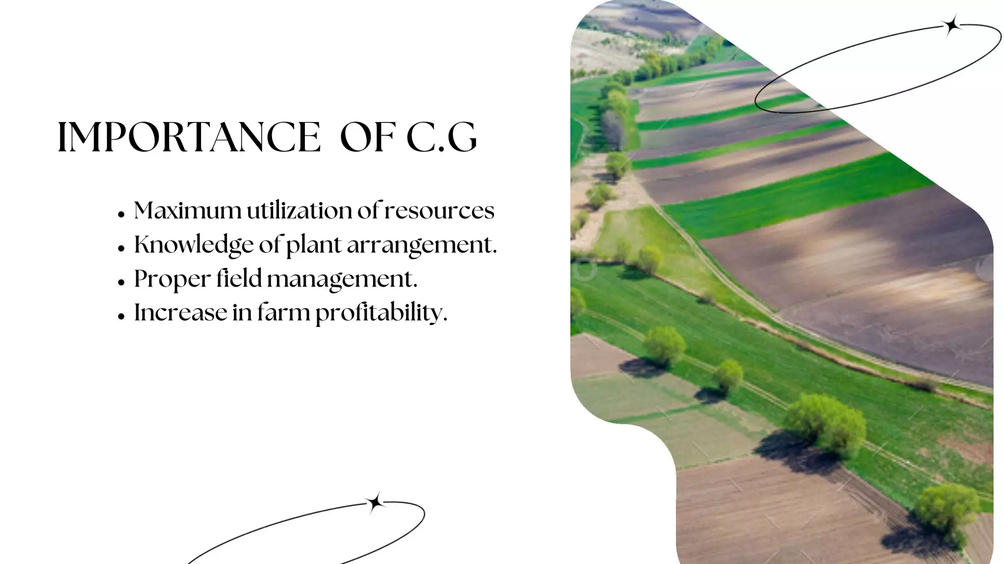 Plant density and Crop Geometry.pptx