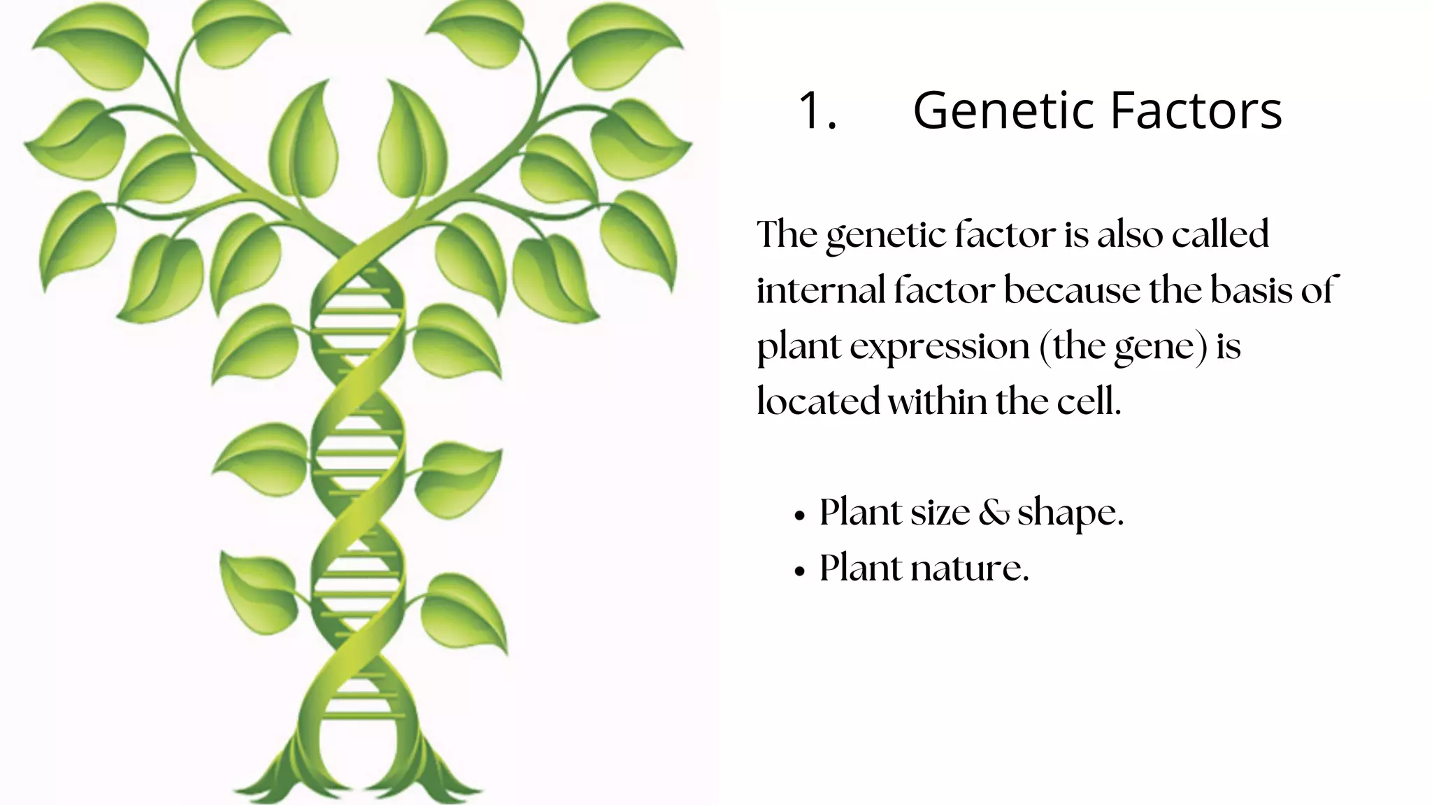 Plant density and Crop Geometry.pptx