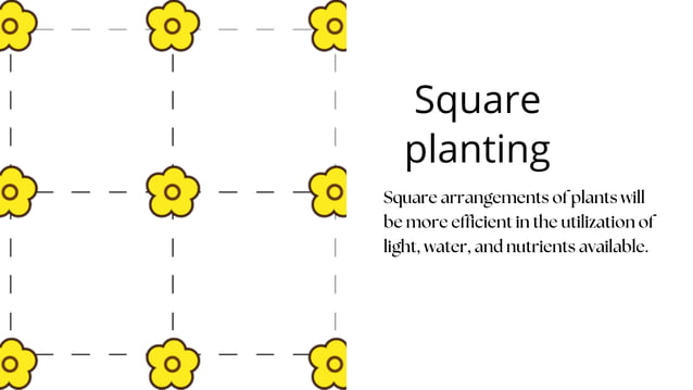 Plant density and Crop Geometry.pptx | Agriculture | Industries