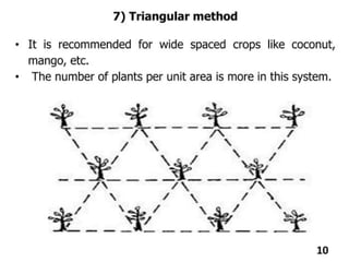Agricultural Biotechnology Plant density and geometry.pptx