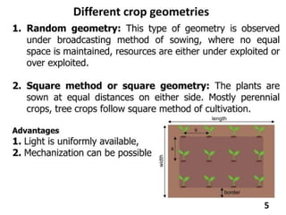 Agricultural Biotechnology Plant density and geometry.pptx