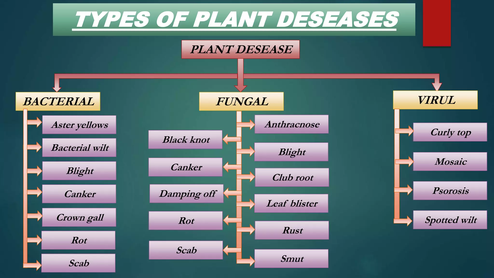 Plant desease and it's control | PPT