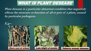 Plant desease and it's control | PPT