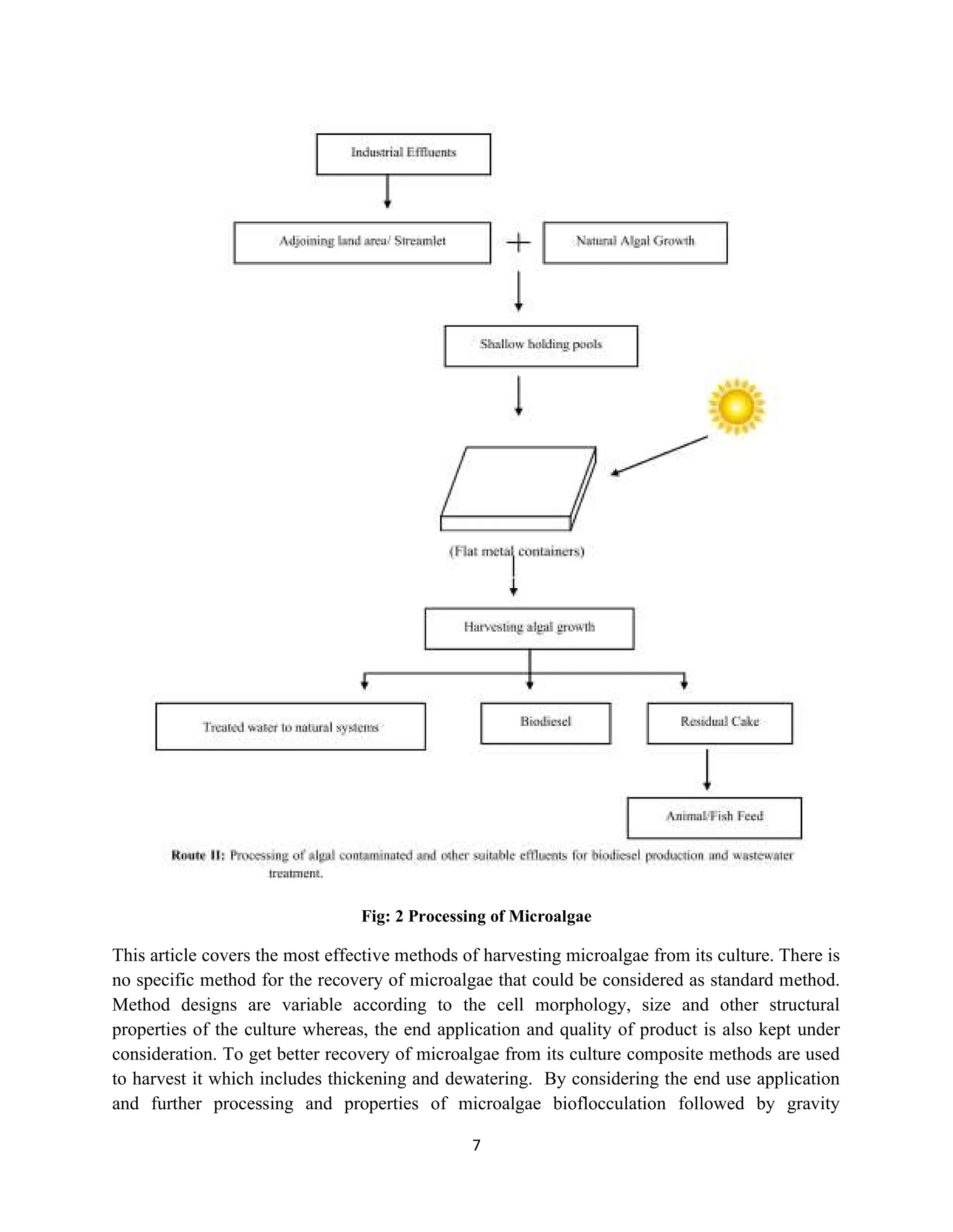 Plant Design for bioplastic production from Microalgae in Pakistan.pdf