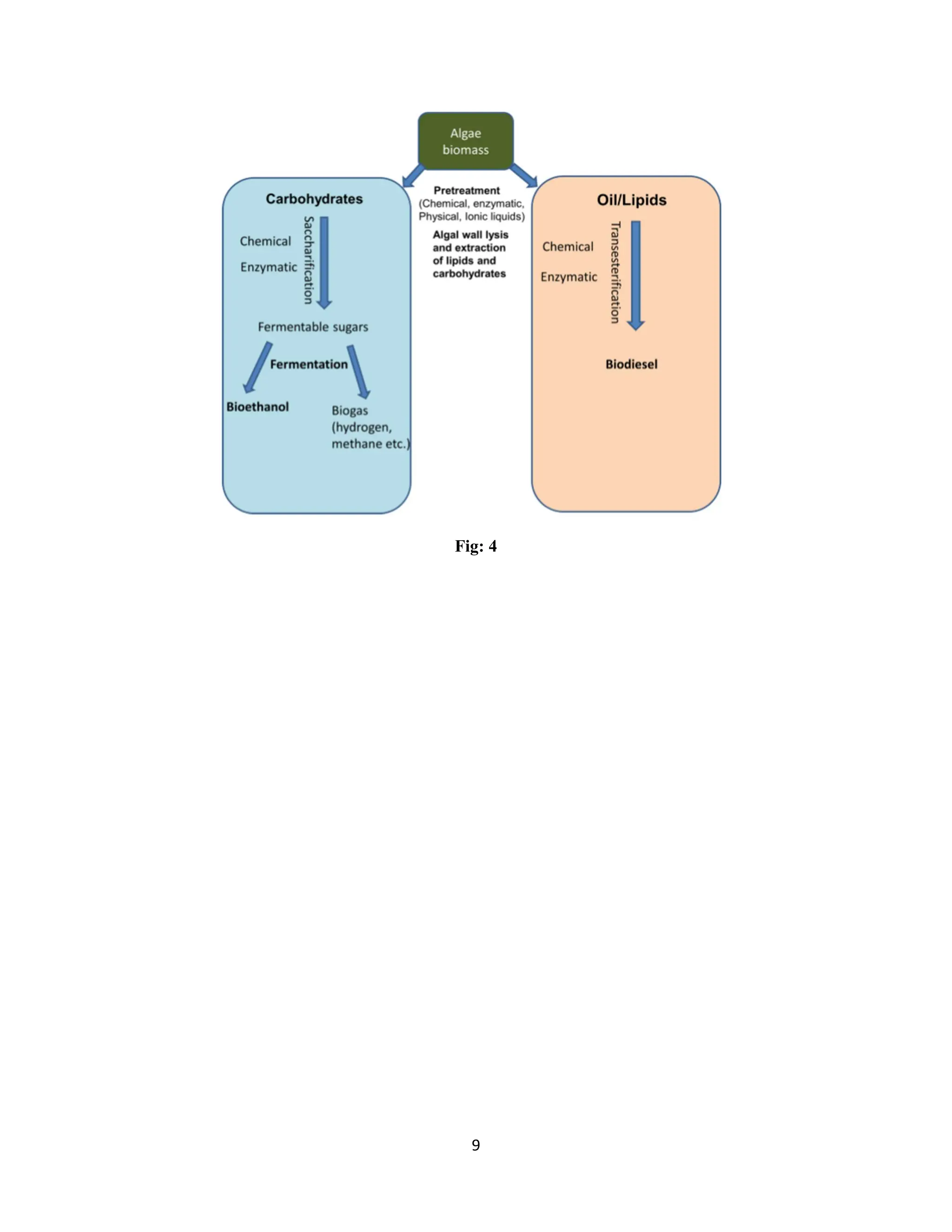 Plant Design for bioplastic production from Microalgae in Pakistan.pdf