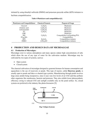 Plant Design for bioplastic production from Microalgae in Pakistan.pdf