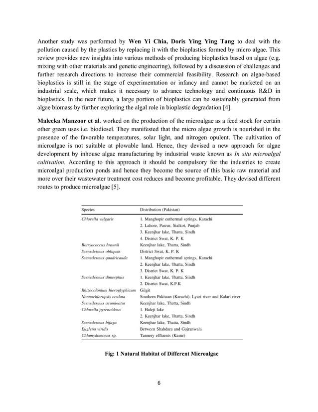 Plant Design for bioplastic production from Microalgae in Pakistan.pdf