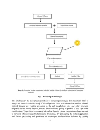Plant Design for bioplastic production from Microalgae in Pakistan.pdf