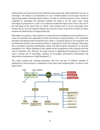 Plant Design for bioplastic production from Microalgae in Pakistan.pdf