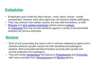 Plant development | PPTX