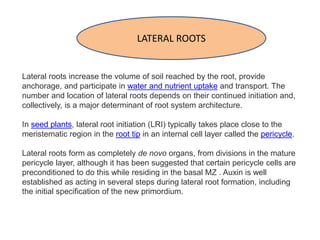 Plant development | PPTX