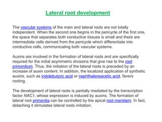 Plant development | PPTX