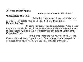 Plant development | PPTX