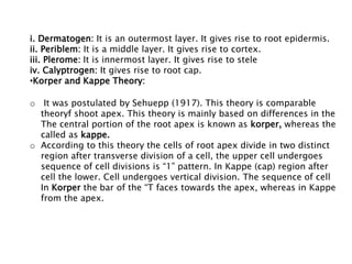 Plant development | PPTX