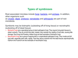Plant development | PPTX