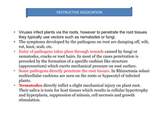 Plant development | PPT