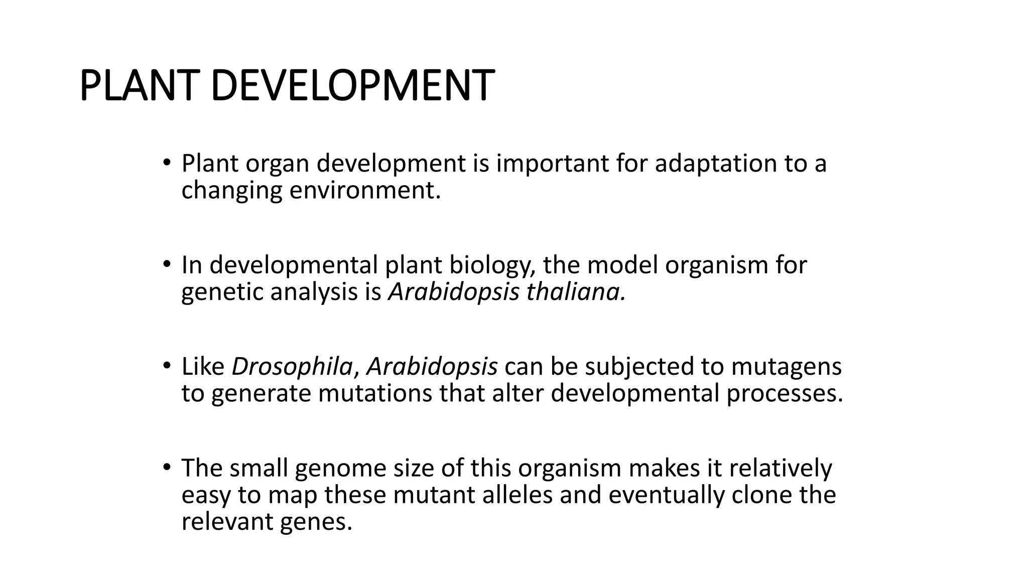 Plant development defects | PPT