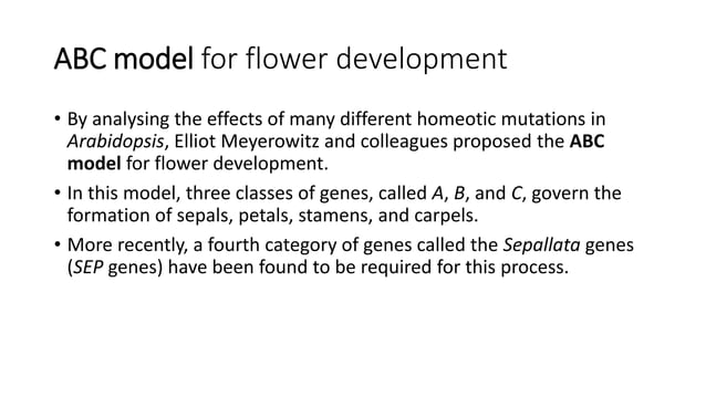 Plant development defects | PPT