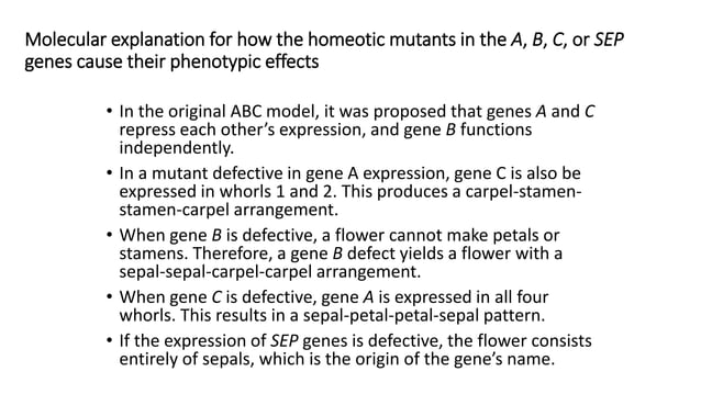 Plant development defects | PPT