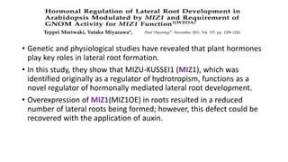 Plant development defects | PPT
