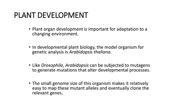 Plant development defects | PPT